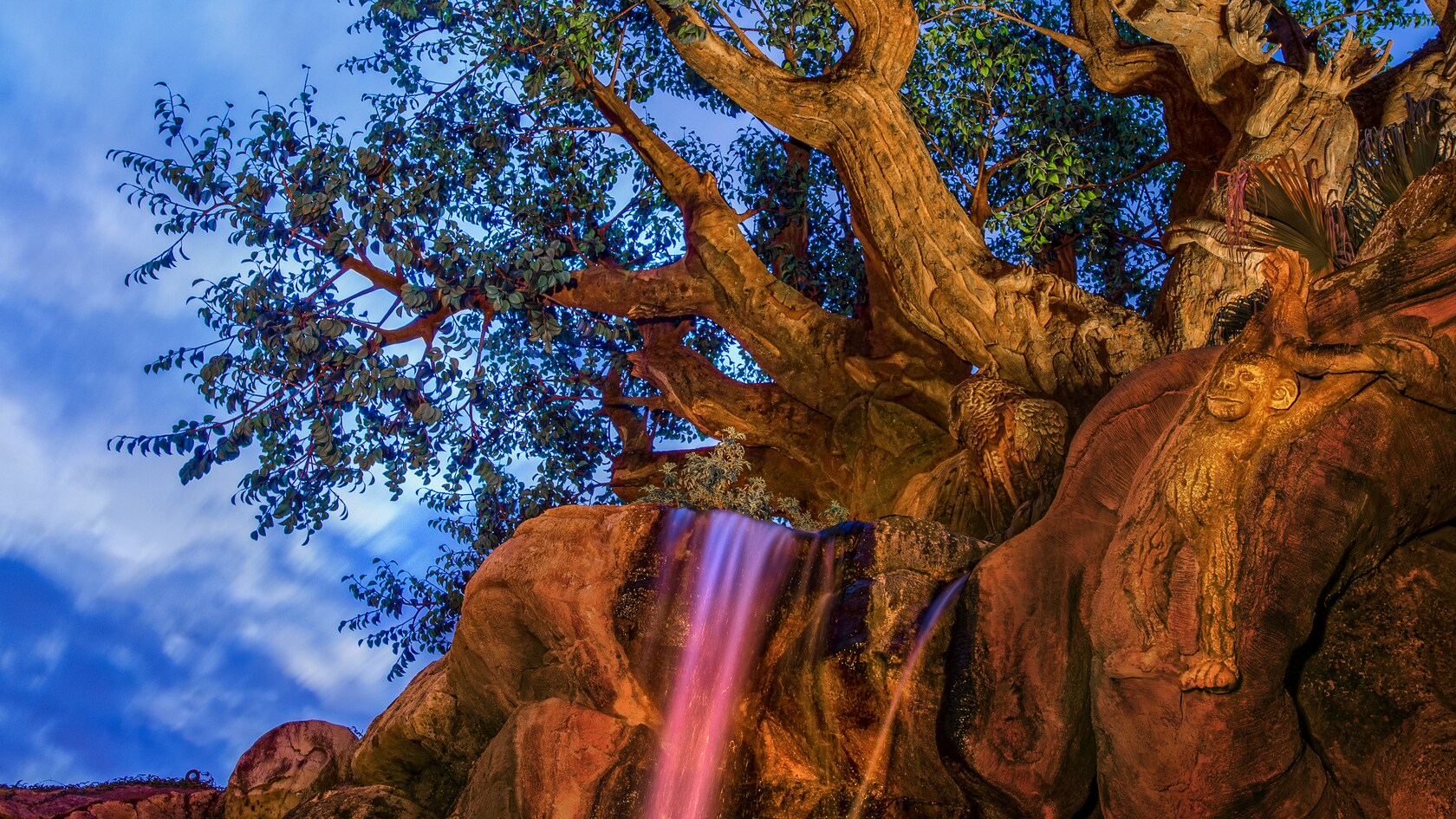 Tree of Life | Animal Kingdom Attractions | Walt Disney World Resort