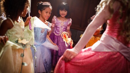 Disneyland Park | Disneyland Resort