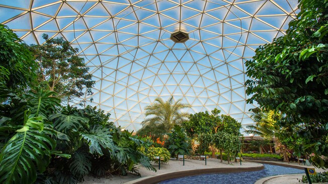 Living with the Land | Epcot Attractions | Walt Disney World Resort