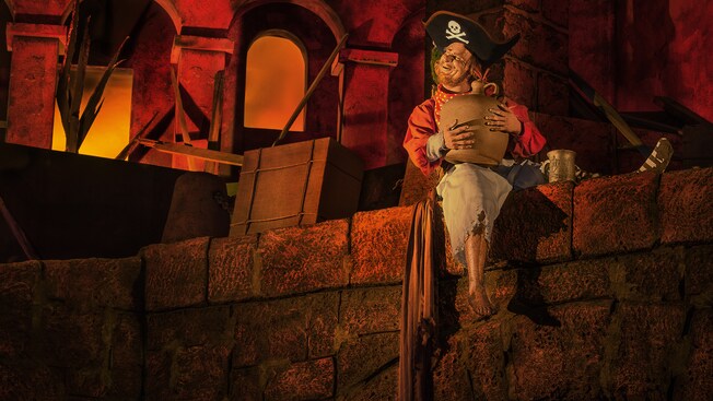 Pirates of the Caribbean Ride | Walt Disney World Resort